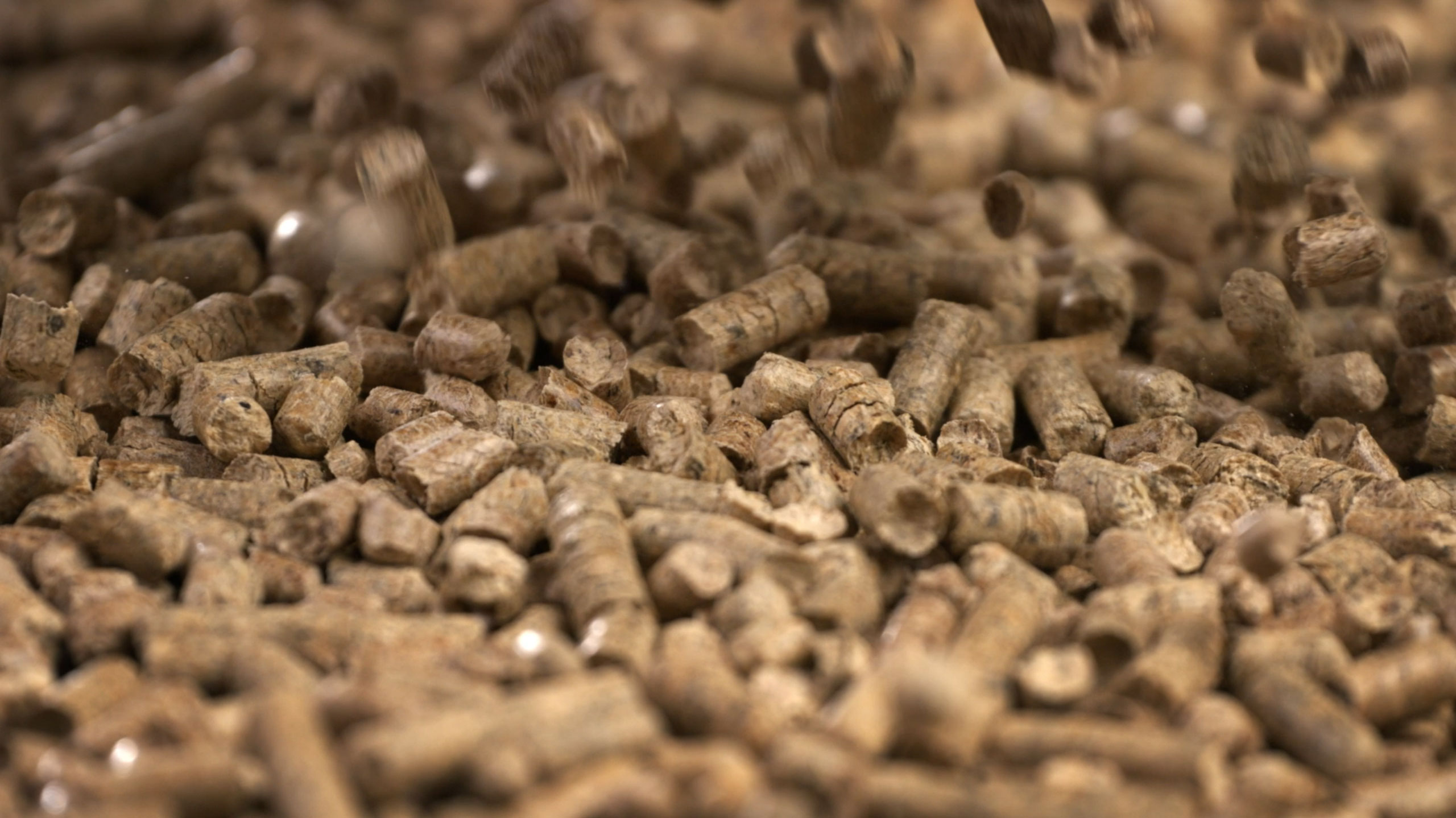 Nova Pellet - Arco international